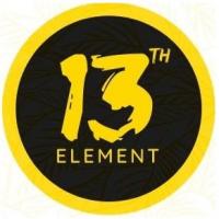 13th Element - My Vegan Town