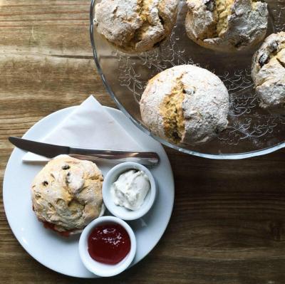 Bluestone Coffee Shop - My Vegan Town