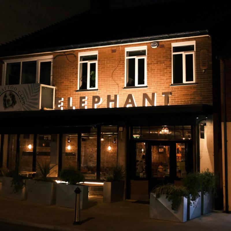 Elephant Lounge - My Vegan Town