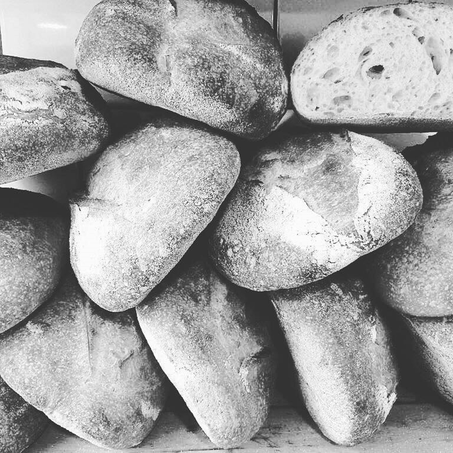 the-bristol-loaf-my-vegan-town