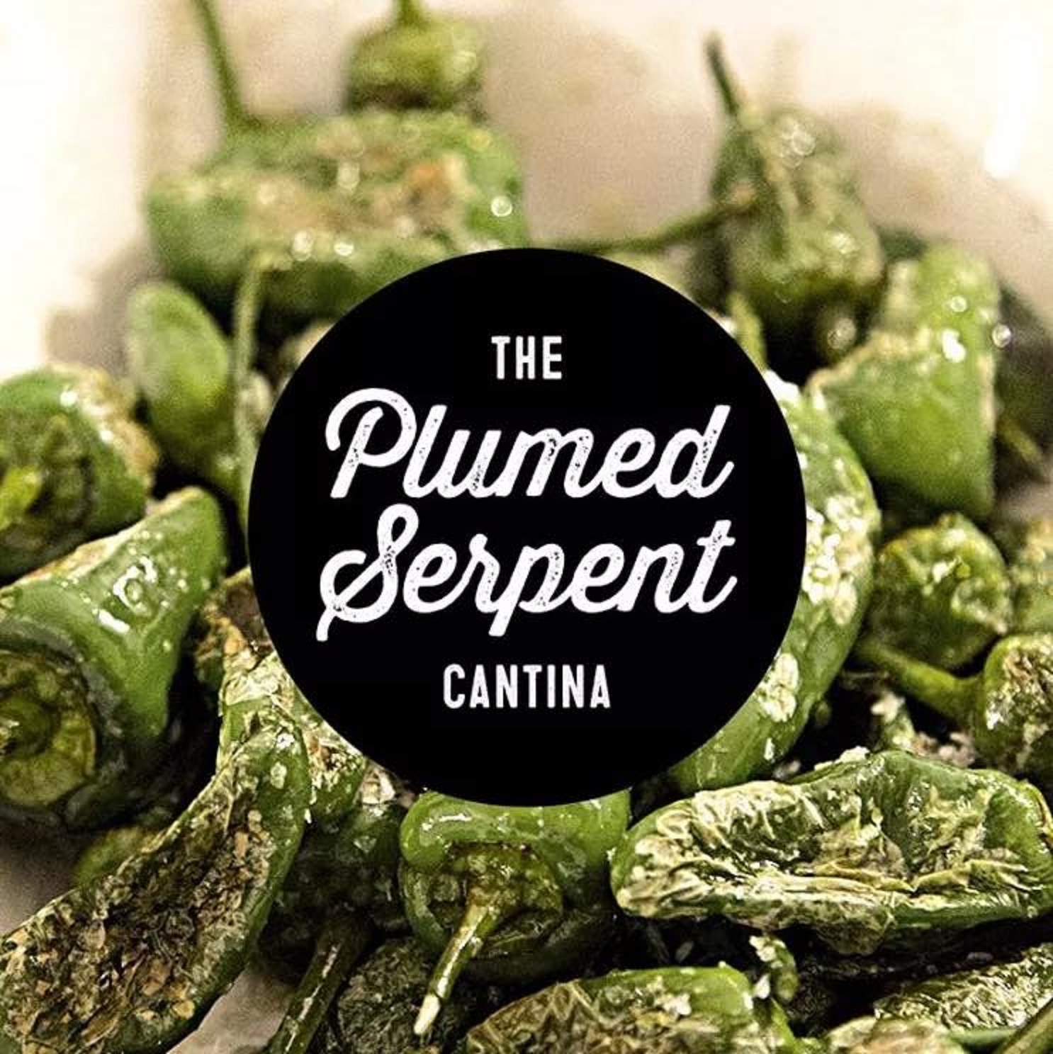 The Plumed Serpent Cantina - My Vegan Town