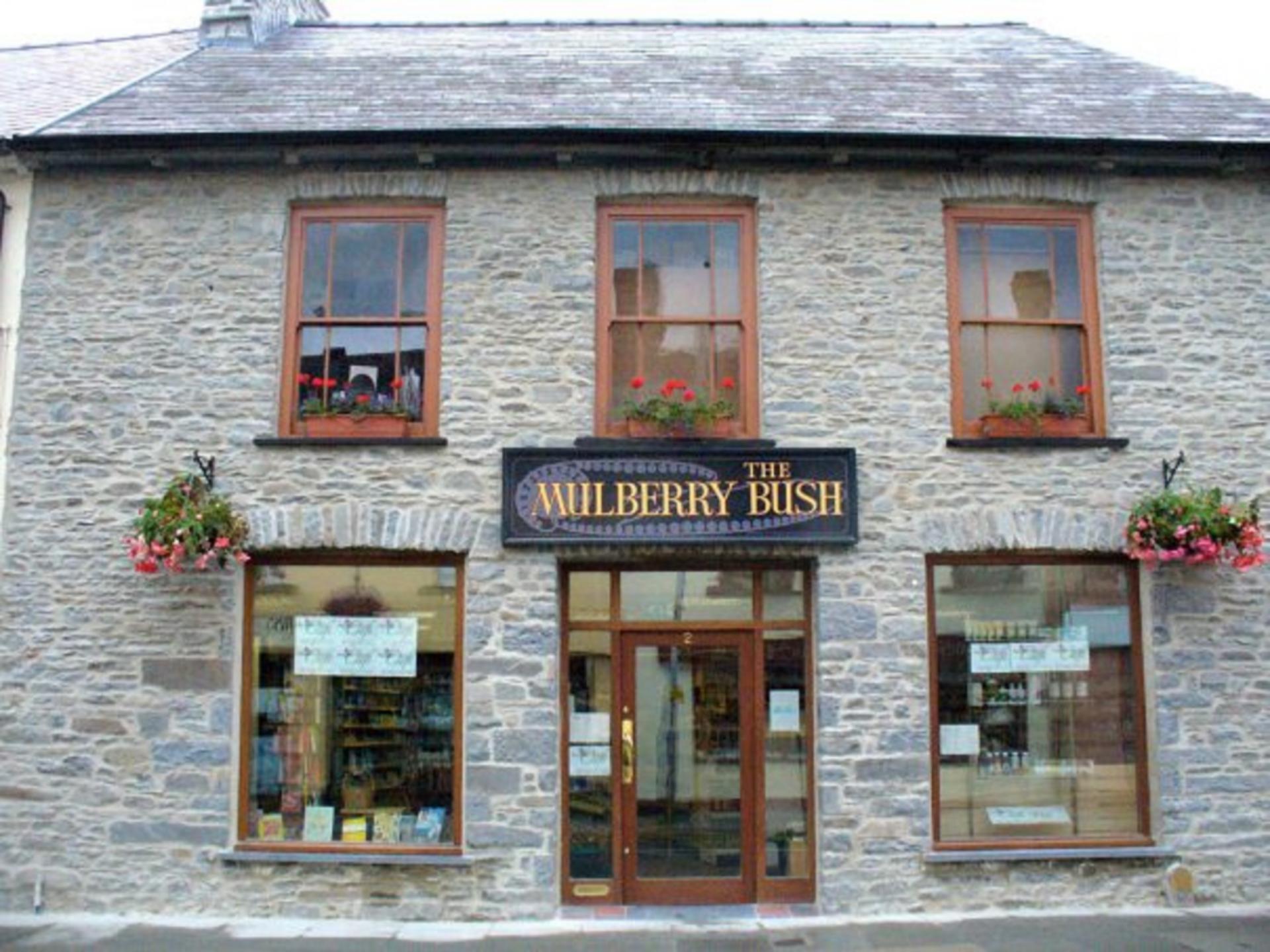 Mulberry Bush Veggie Cafe - My Vegan Town